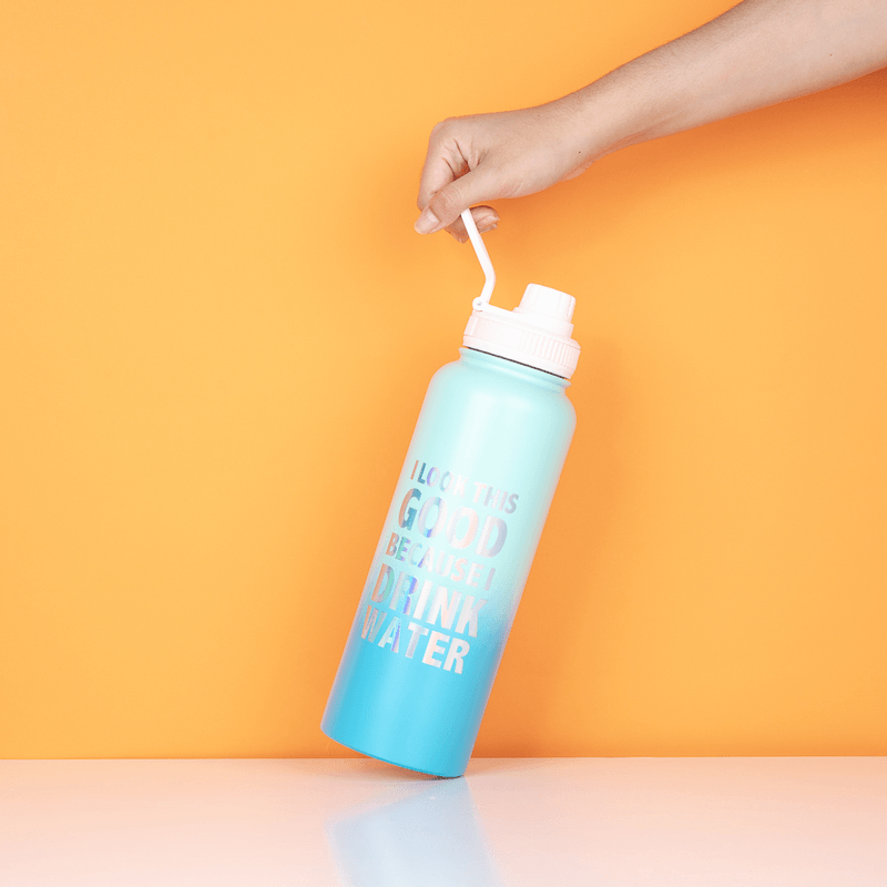 Vasos, termos y cilindros